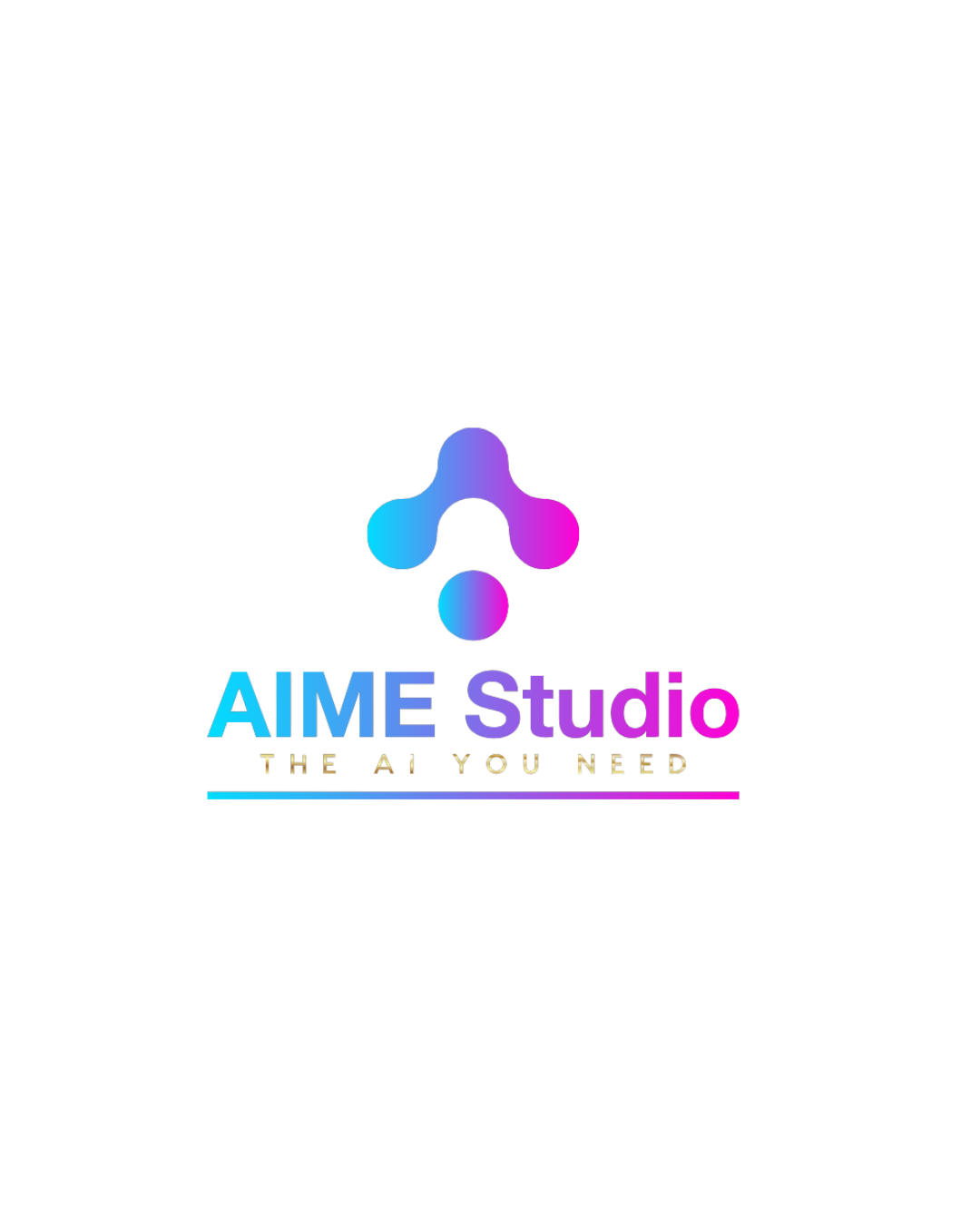 AIME Studio